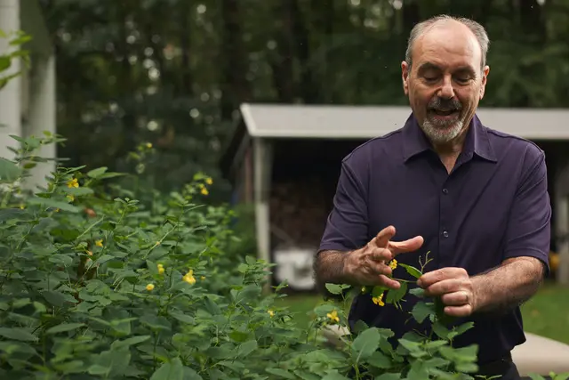 Любовь легендарного травника Дэвида Уинстона к травам - ET | Articles